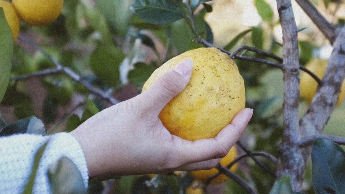 Las griegas a la hora de elegir un fondo de inversión: la beta | Blog Self